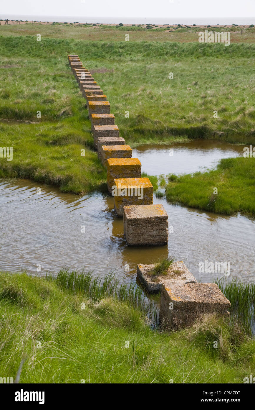Concrete block tank traps form stepping stones across wetland marsh on ...