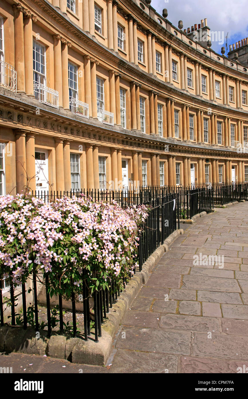Georgian Architecture of the Circus in Bath Stock Photo - Alamy