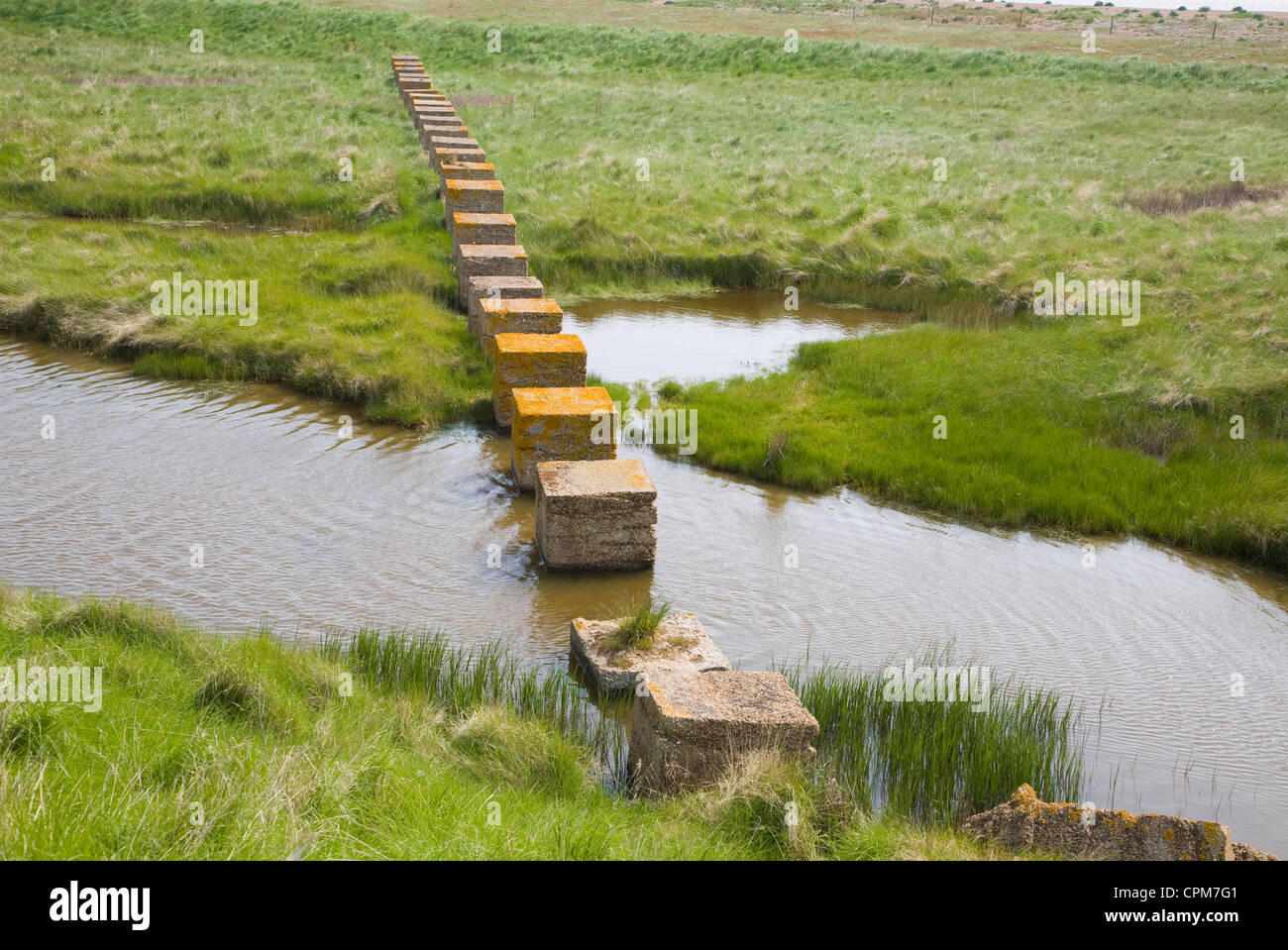 Concrete block tank traps form stepping stones across wetland marsh on ...
