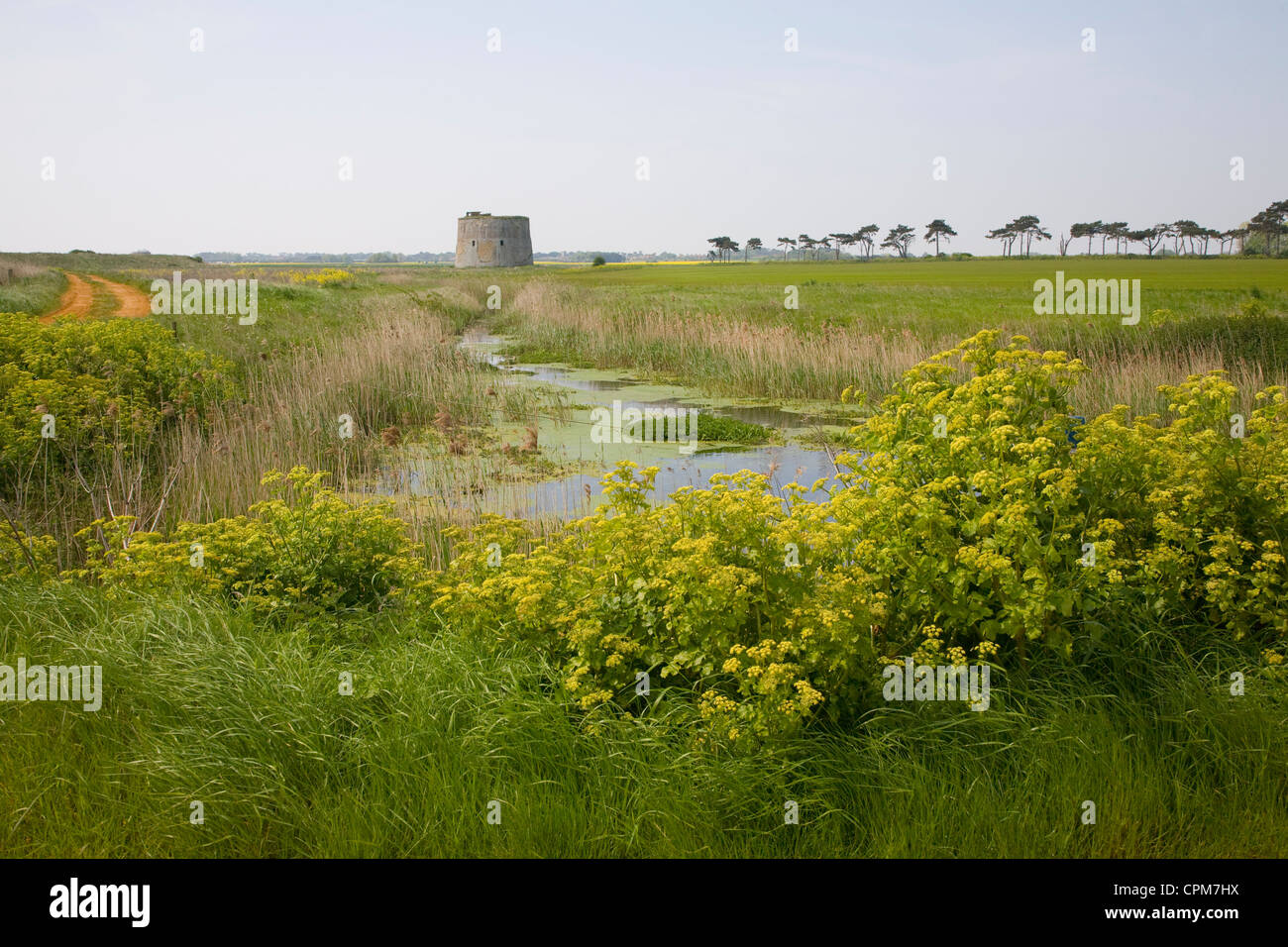 Drainage drain draining hi-res stock photography and images - Alamy