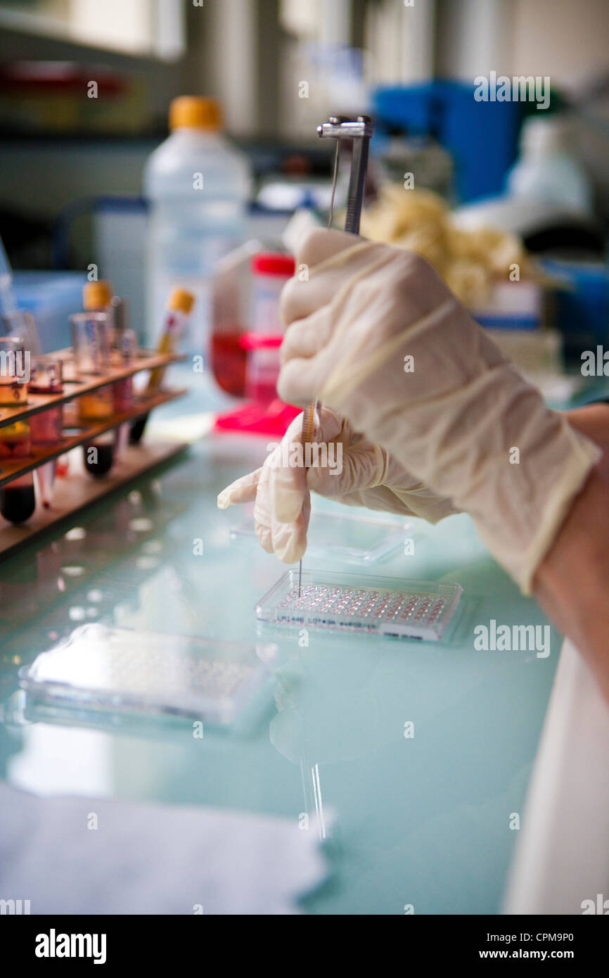Tissue analysis hi-res stock photography and images - Alamy