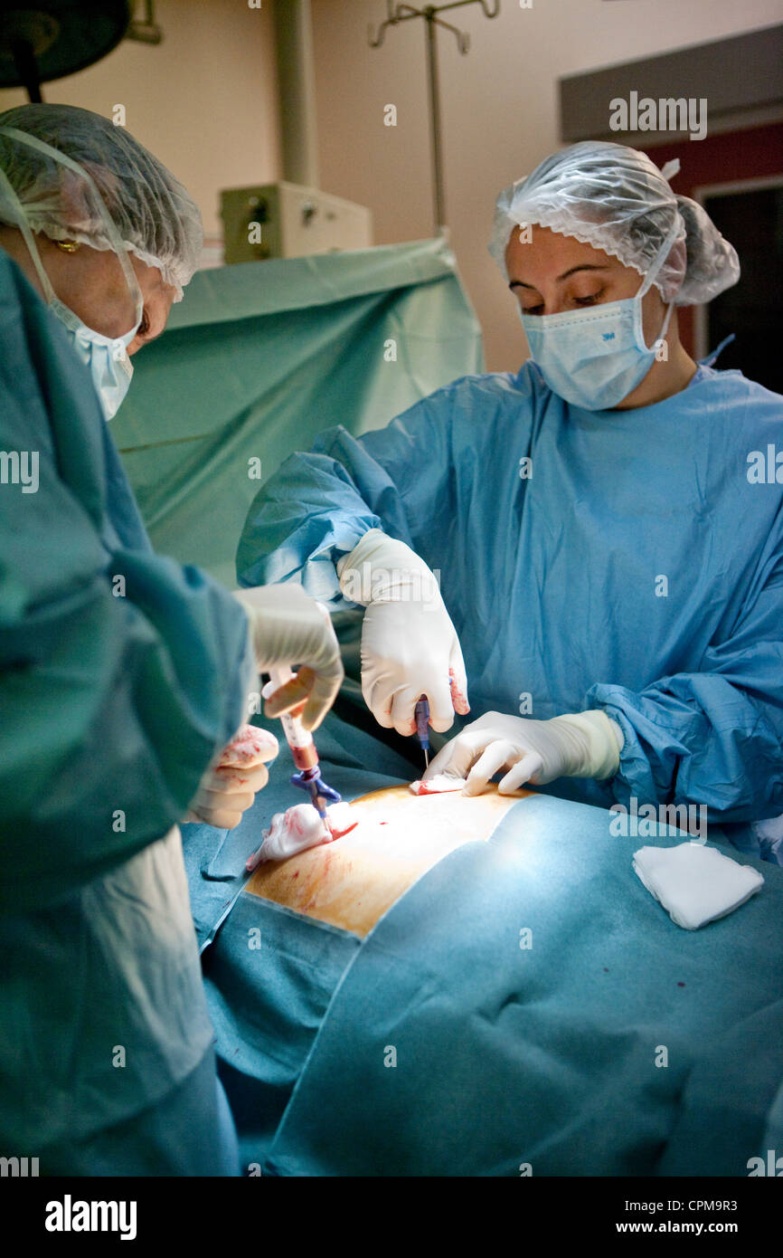 Bone Marrow Biopsy High Resolution Stock Photography and Images - Alamy