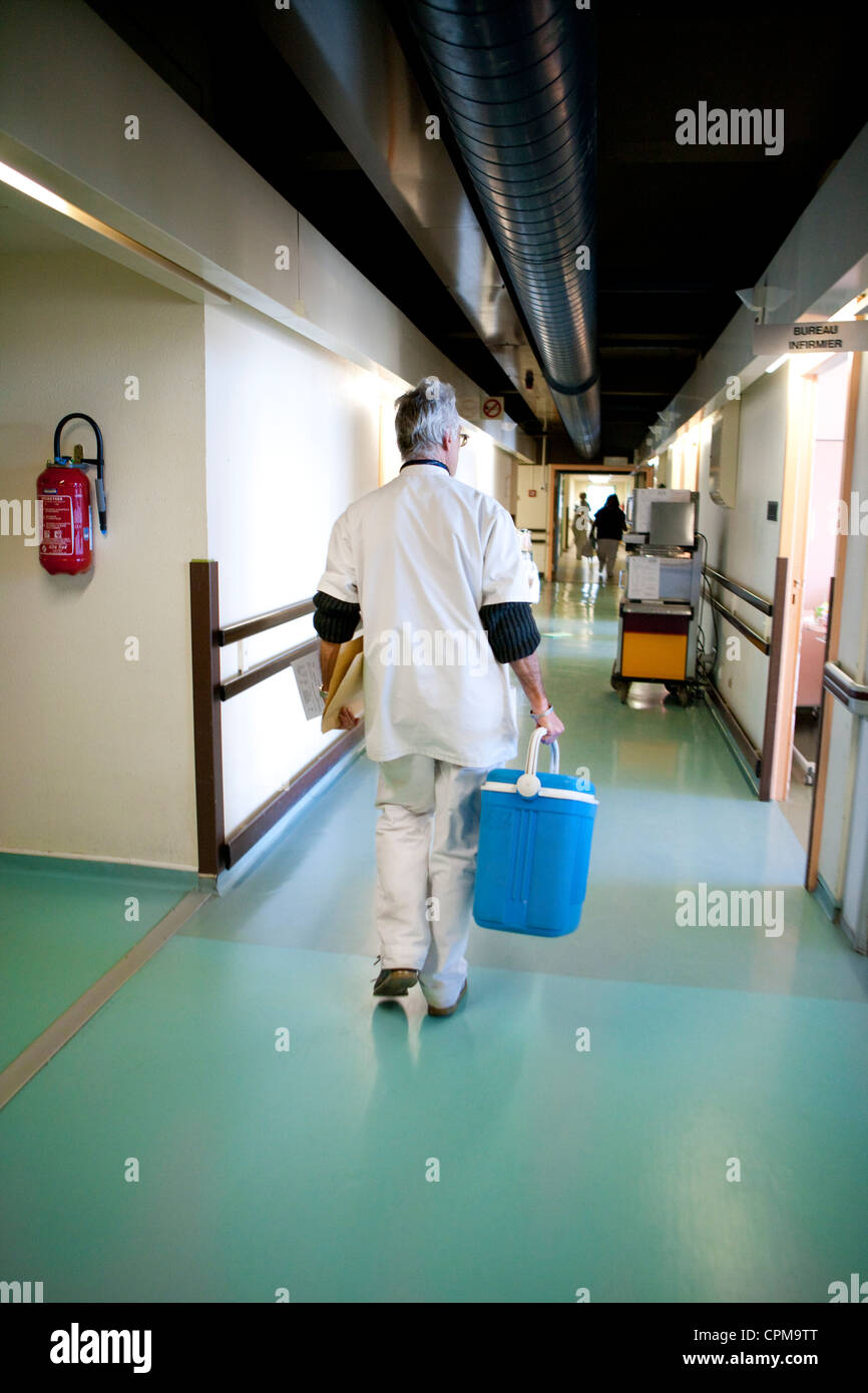 BONE MARROW TRANSPORT Stock Photo - Alamy