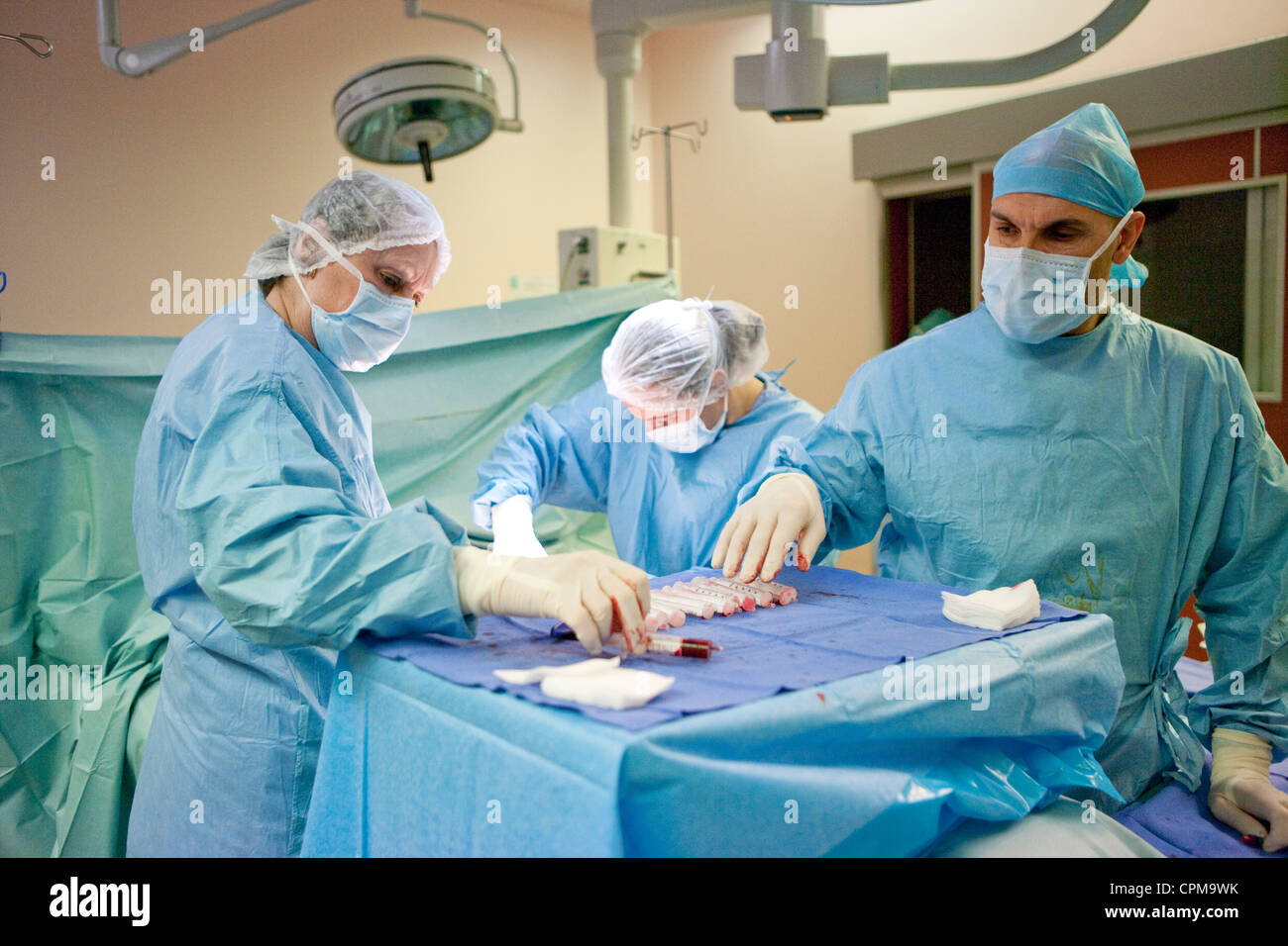 Bone Marrow Biopsy High Resolution Stock Photography and Images - Alamy