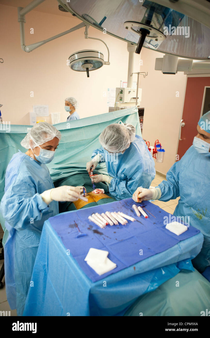 Bone Marrow Biopsy High Resolution Stock Photography and Images - Alamy