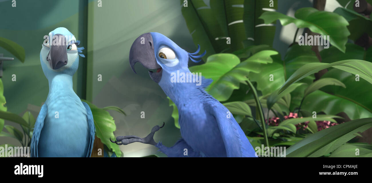Rio Year : 2011 USA Director : Carlos Saldanha Animation Stock Photo ...