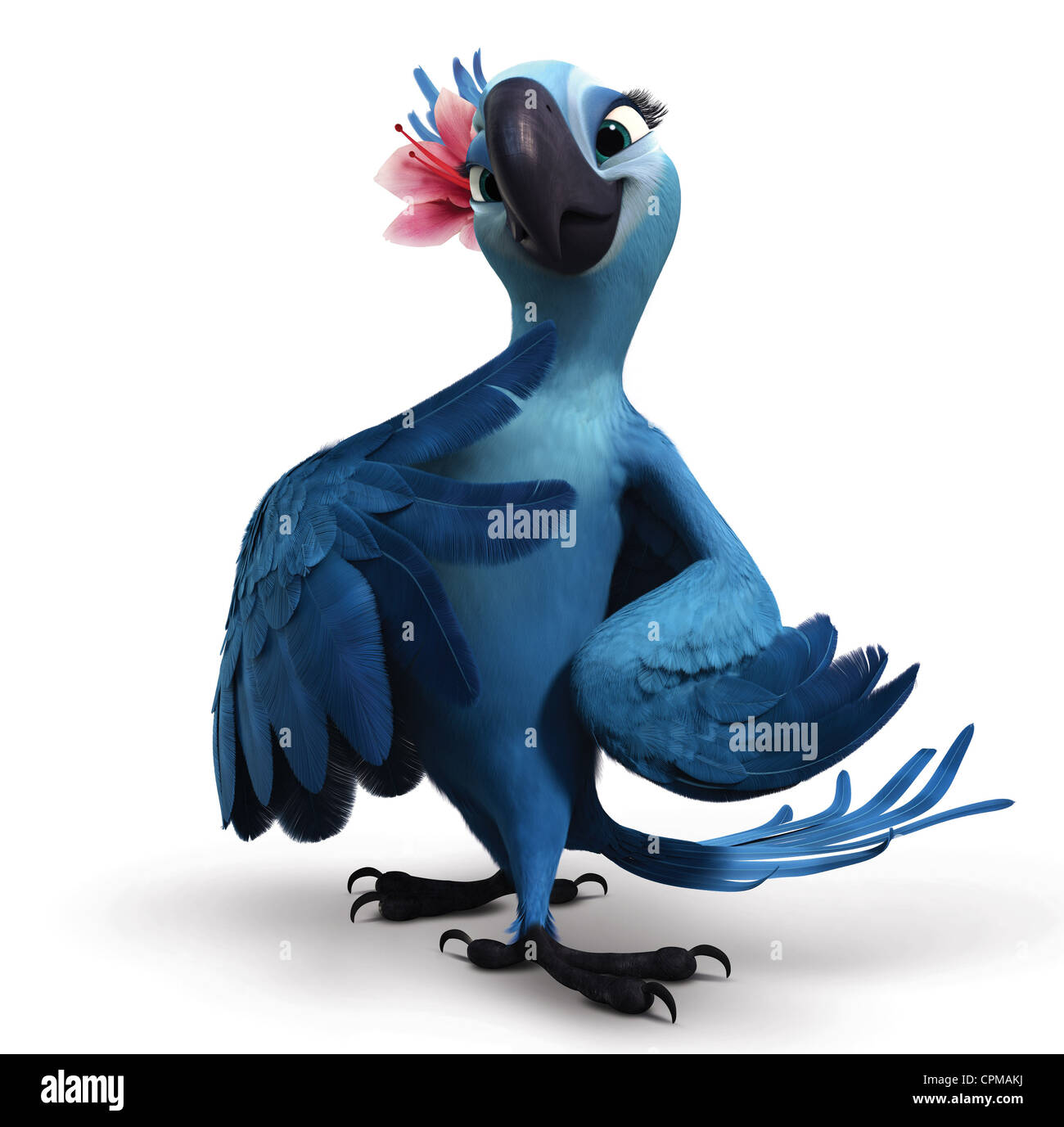 Blue Macaw Rio Clipart