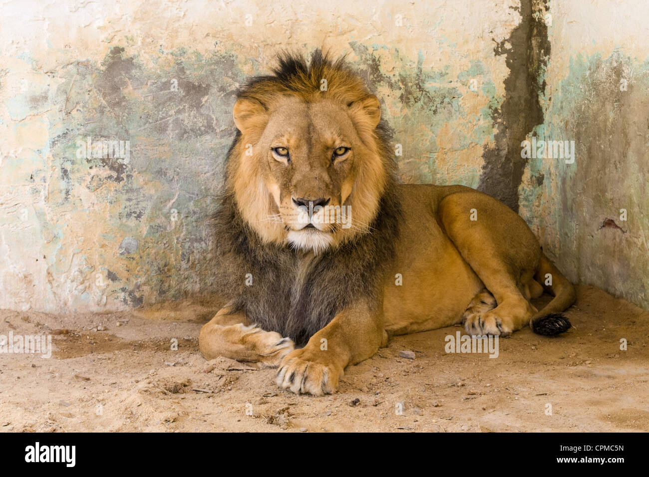 King atlas hi-res stock photography and images - Alamy