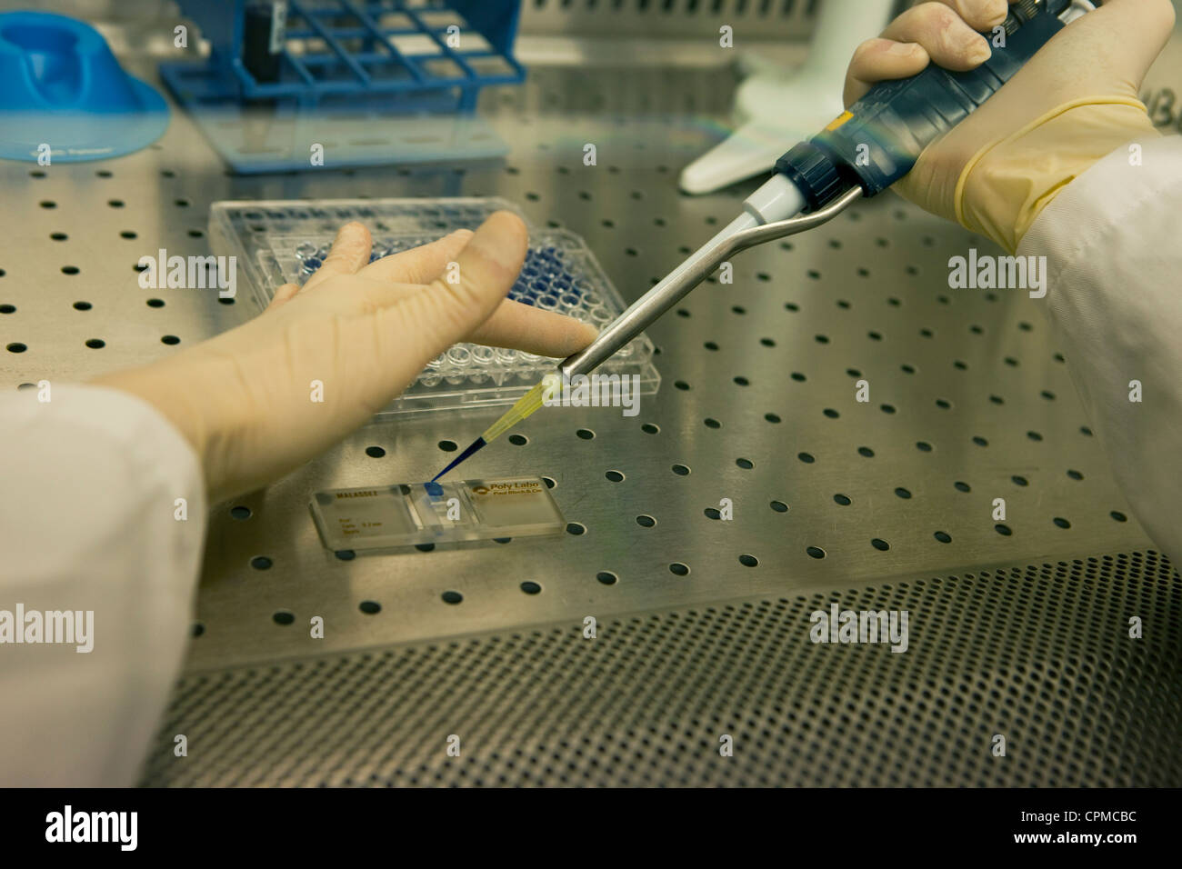 Cell culture hood hi-res stock photography and images - Alamy
