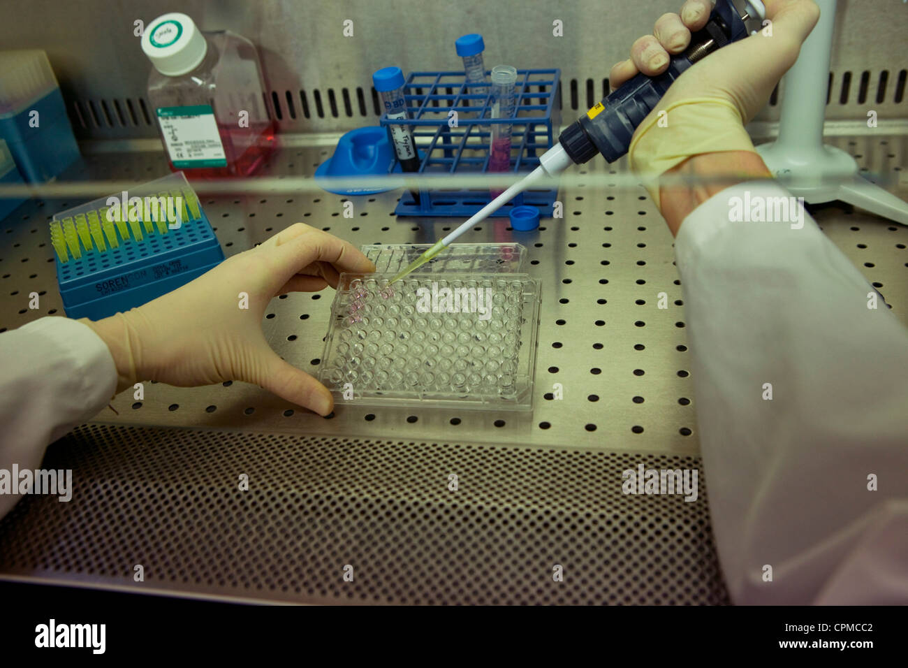 Immunoassay hi-res stock photography and images - Alamy