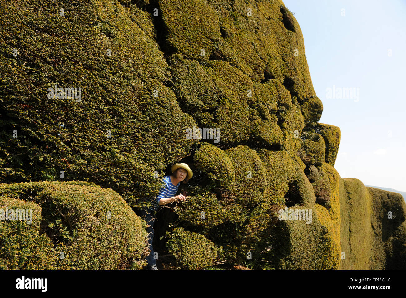 Over the hedge hi-res stock photography and images - Alamy