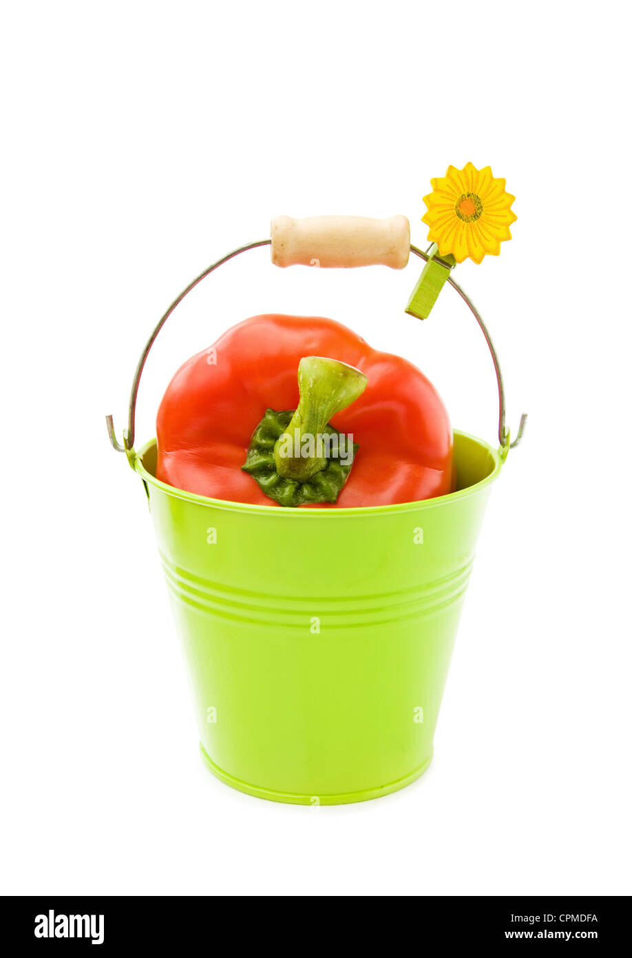 Healthy cooking with fresh red pepper in pretty garden bucket. Isolated ...