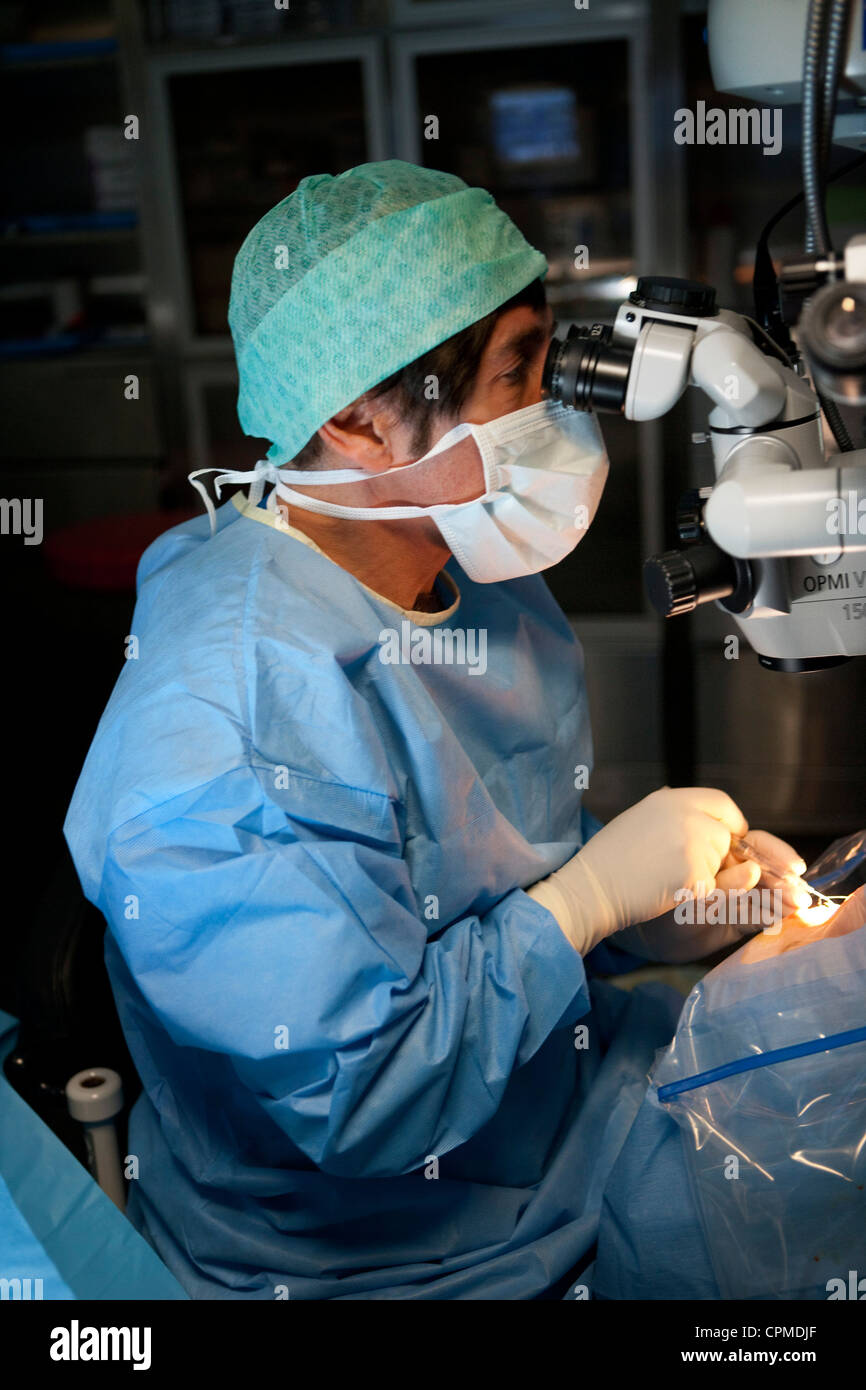 Prosthetic intra ocular lenses hi-res stock photography and images - Alamy