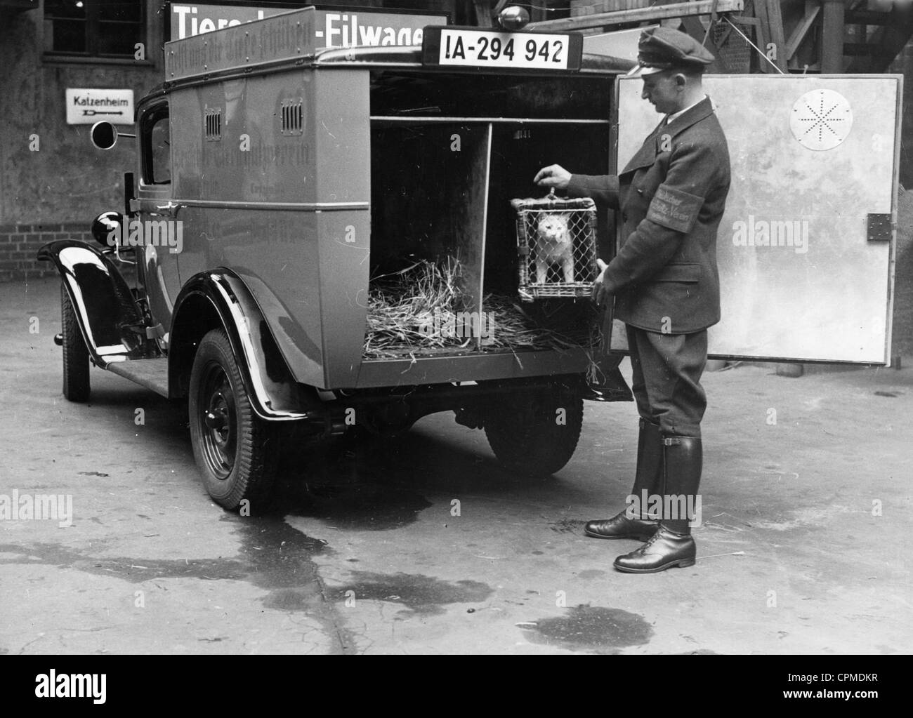 Cat car Black and White Stock Photos & Images - Alamy