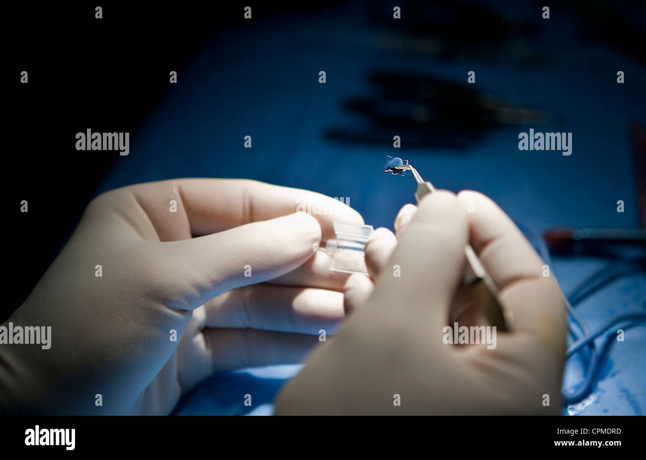 Prosthetic intra ocular lenses hi-res stock photography and images - Alamy
