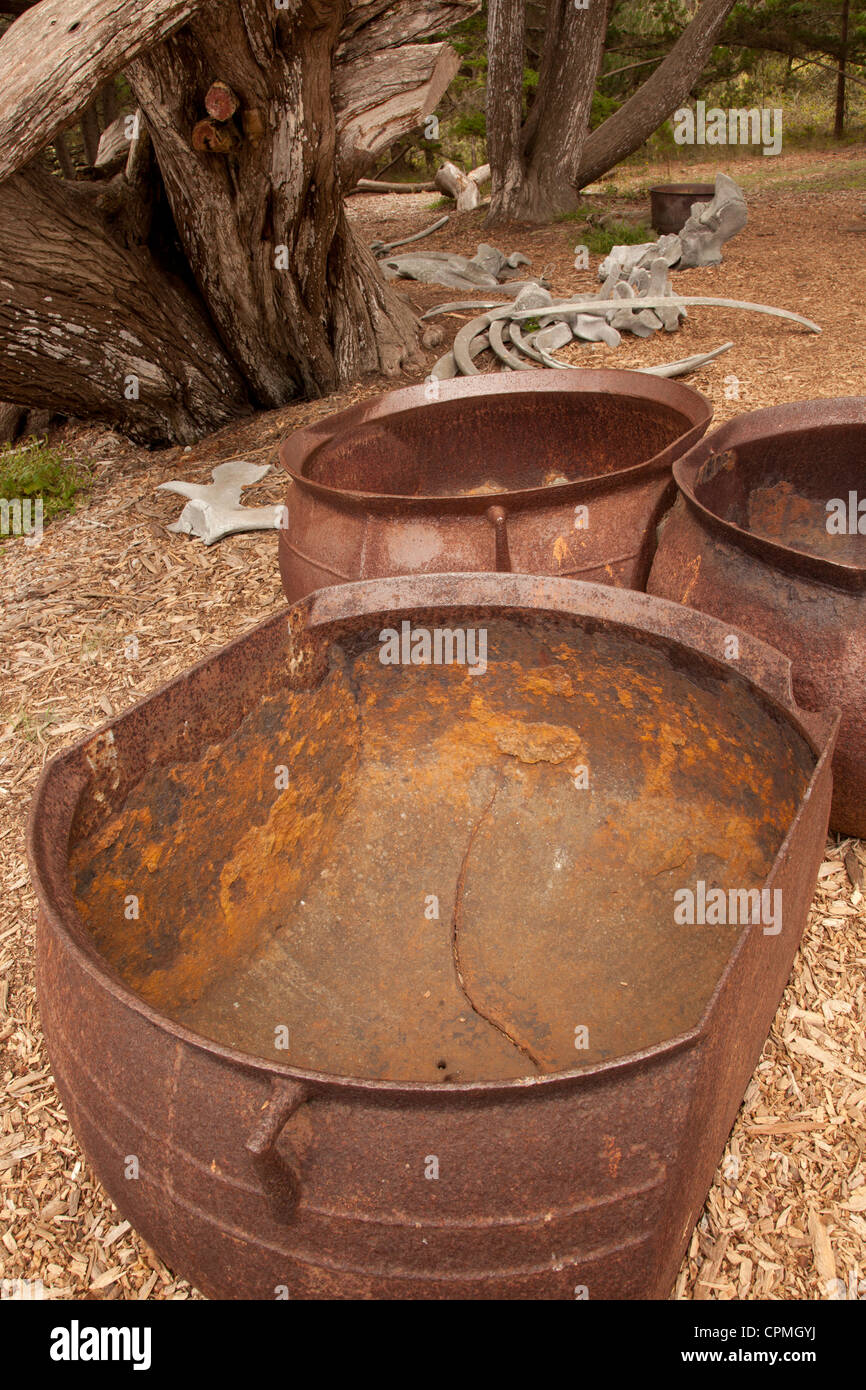 Try pot hi-res stock photography and images - Alamy