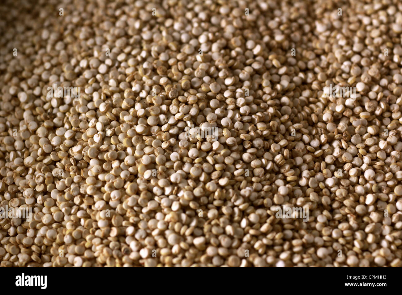 Quinoa seed hi-res stock photography and images - Alamy