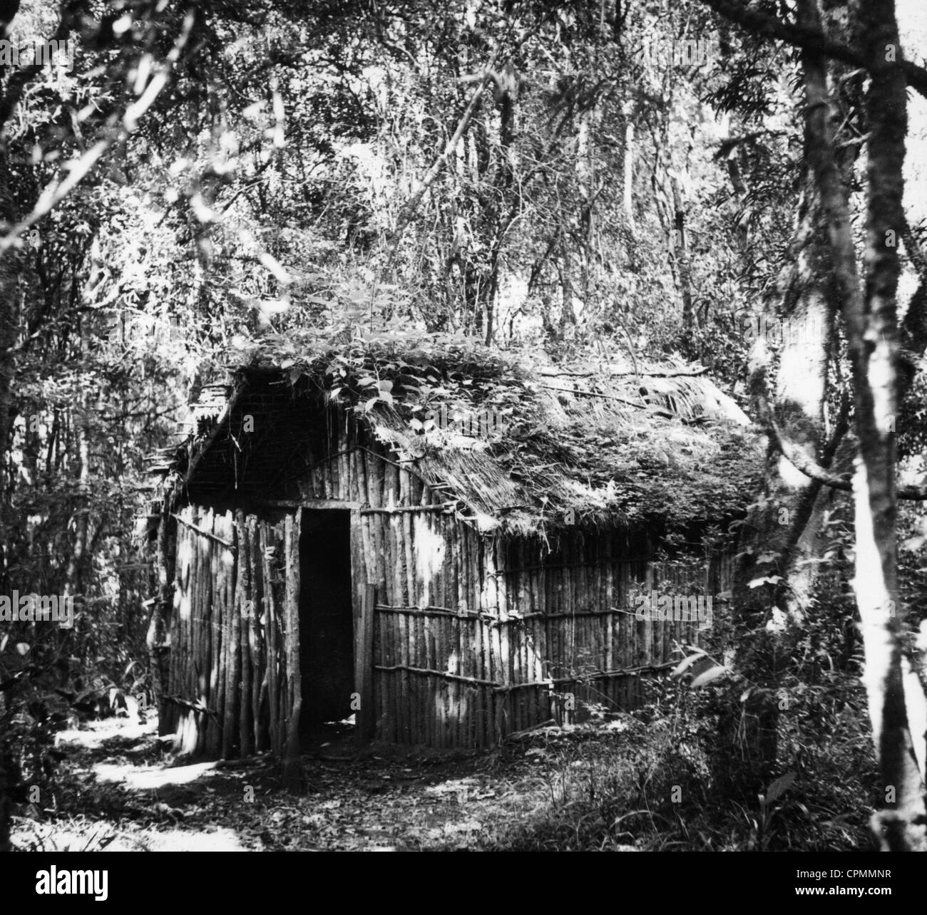 Jungle house Black and White Stock Photos & Images - Alamy