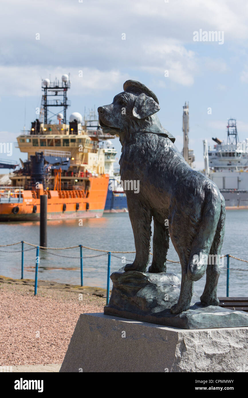 Bamse dog hi-res stock photography and images - Alamy