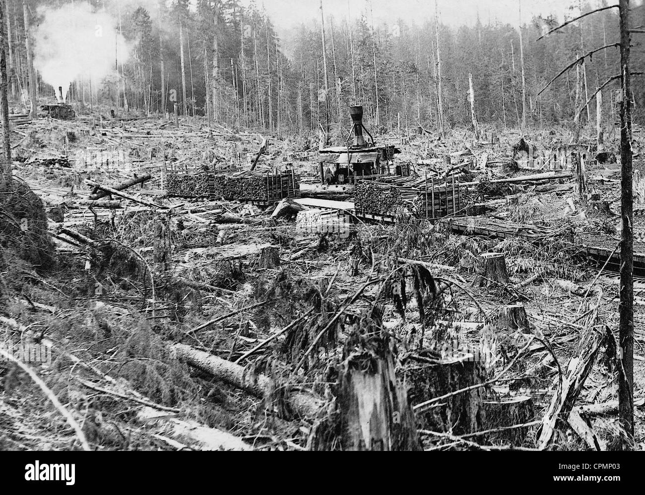 Tree Cutting Black and White Stock Photos & Images - Alamy