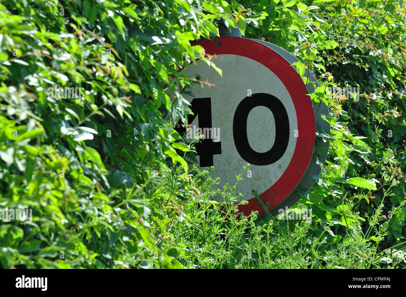 Road traffic speed limit sign obscured by hedge Stock Photo - Alamy
