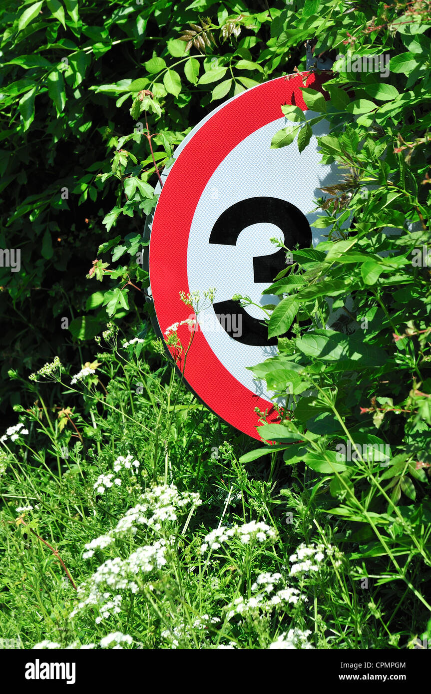 Road traffic speed limit sign obscured by hedge Stock Photo - Alamy