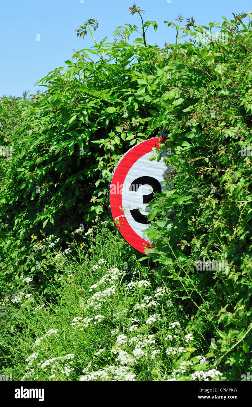 Traffic sign obscured hi-res stock photography and images - Alamy