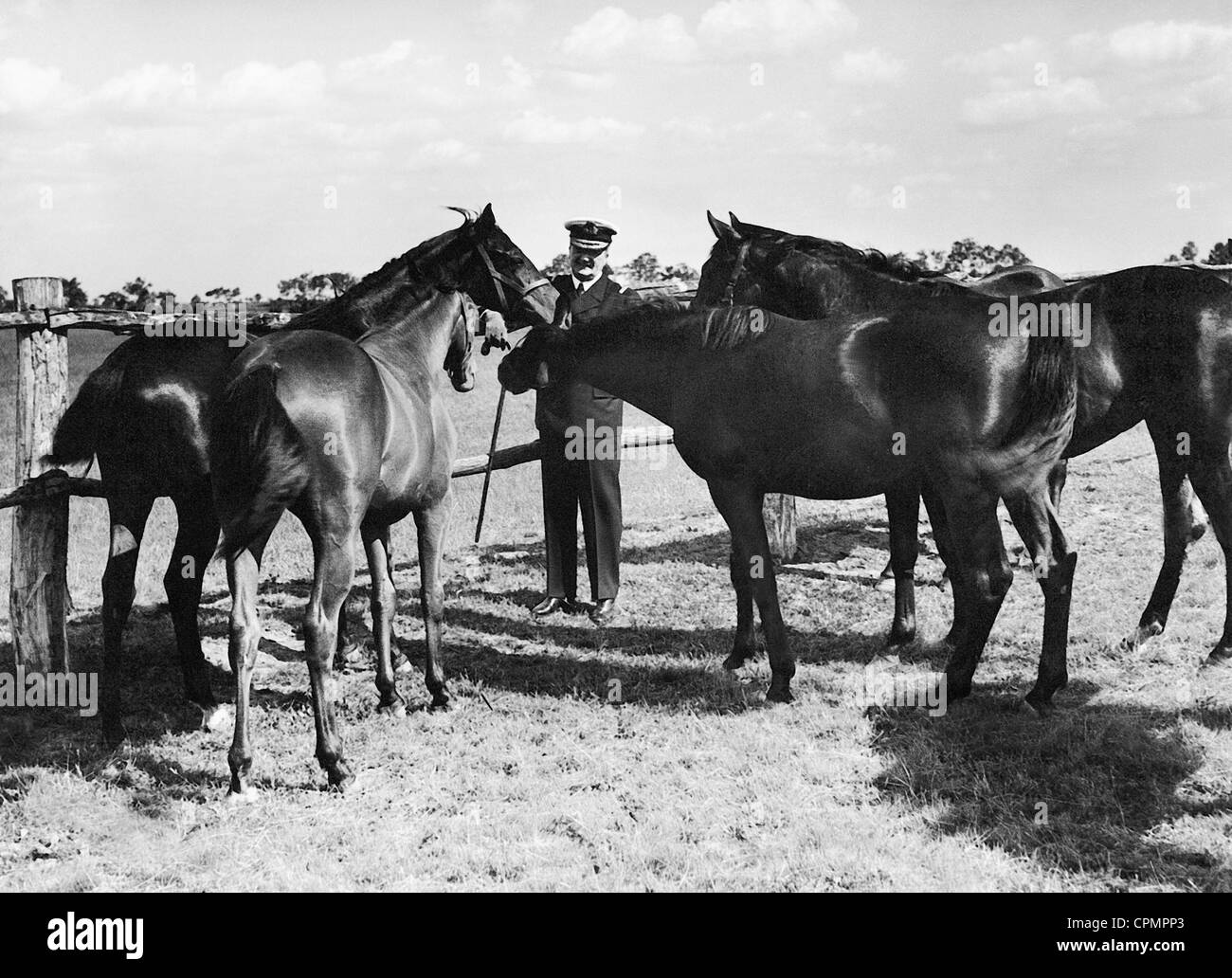 Miklos Horthy with his horses on the estate Kenderes Stock Photo - Alamy