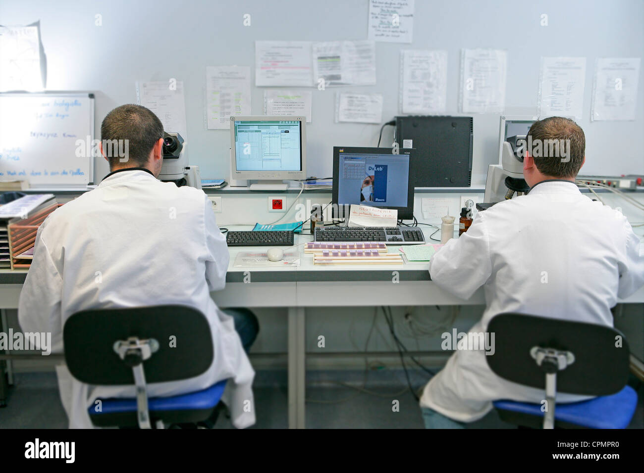 Peripheral blood smear hi-res stock photography and images - Alamy