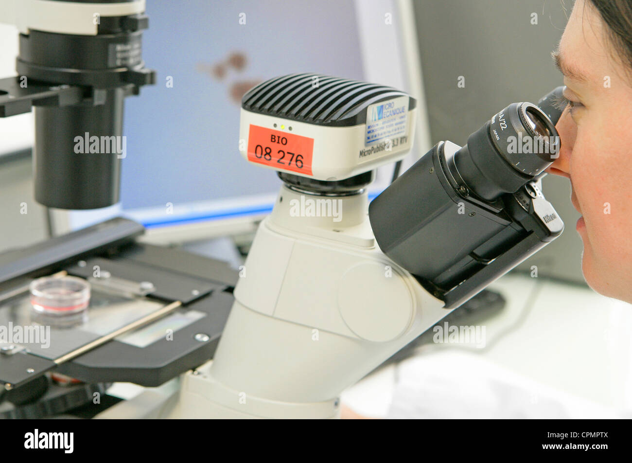 Optical Light Microscope High Resolution Stock Photography and Images ...