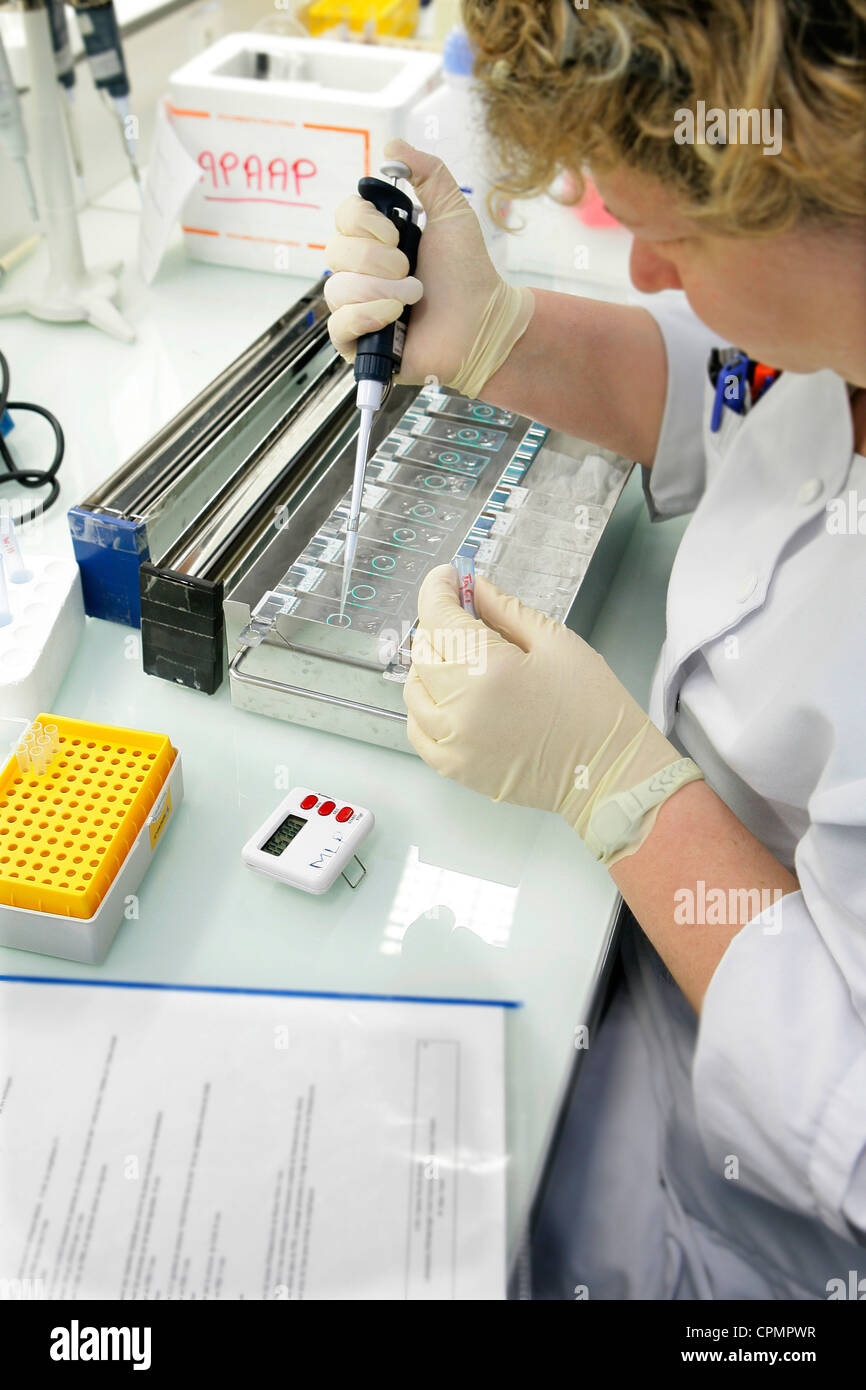 Microscope slide specimens hi-res stock photography and images - Alamy