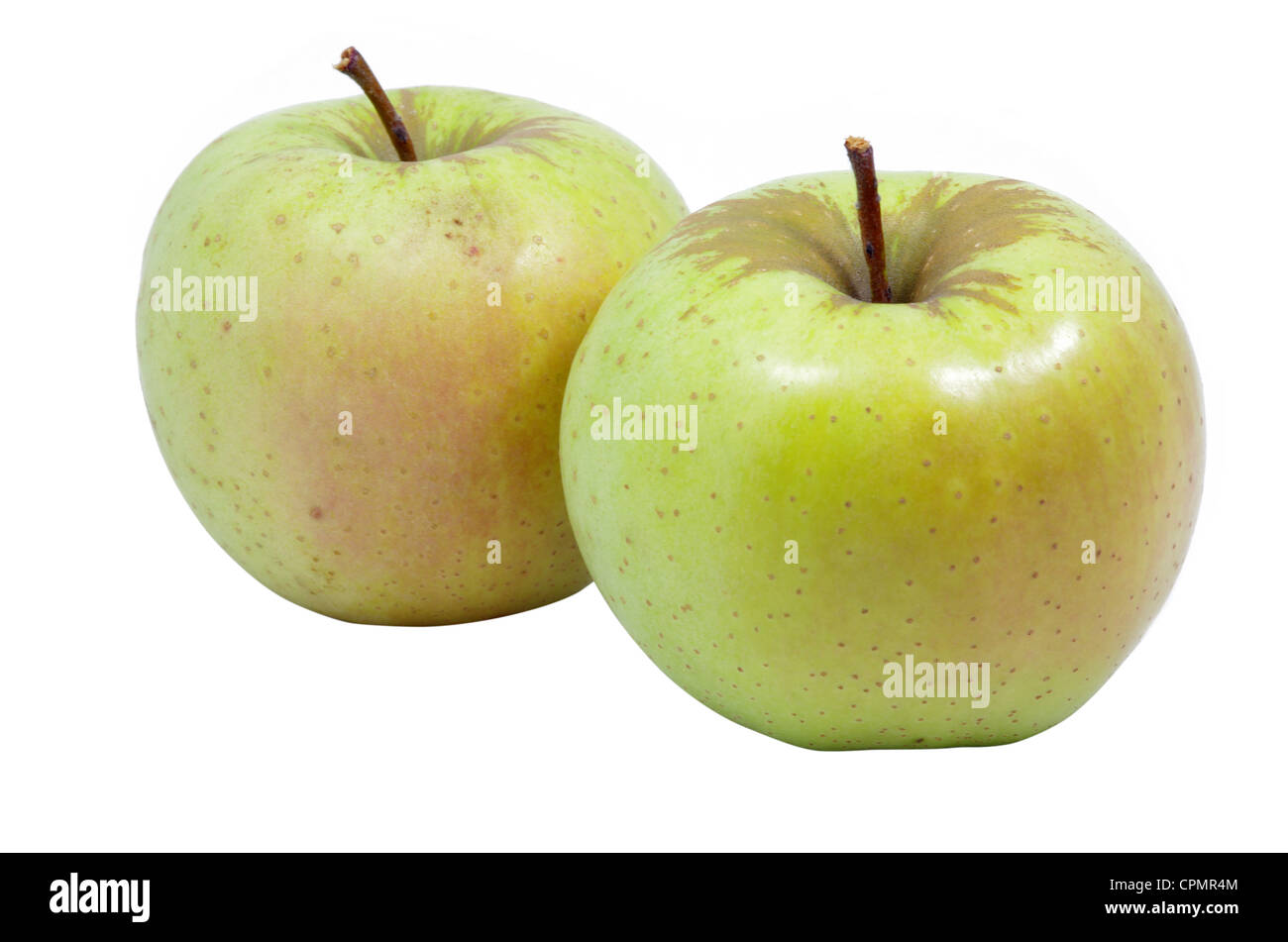 Two apples isolated on a white background Stock Photo - Alamy