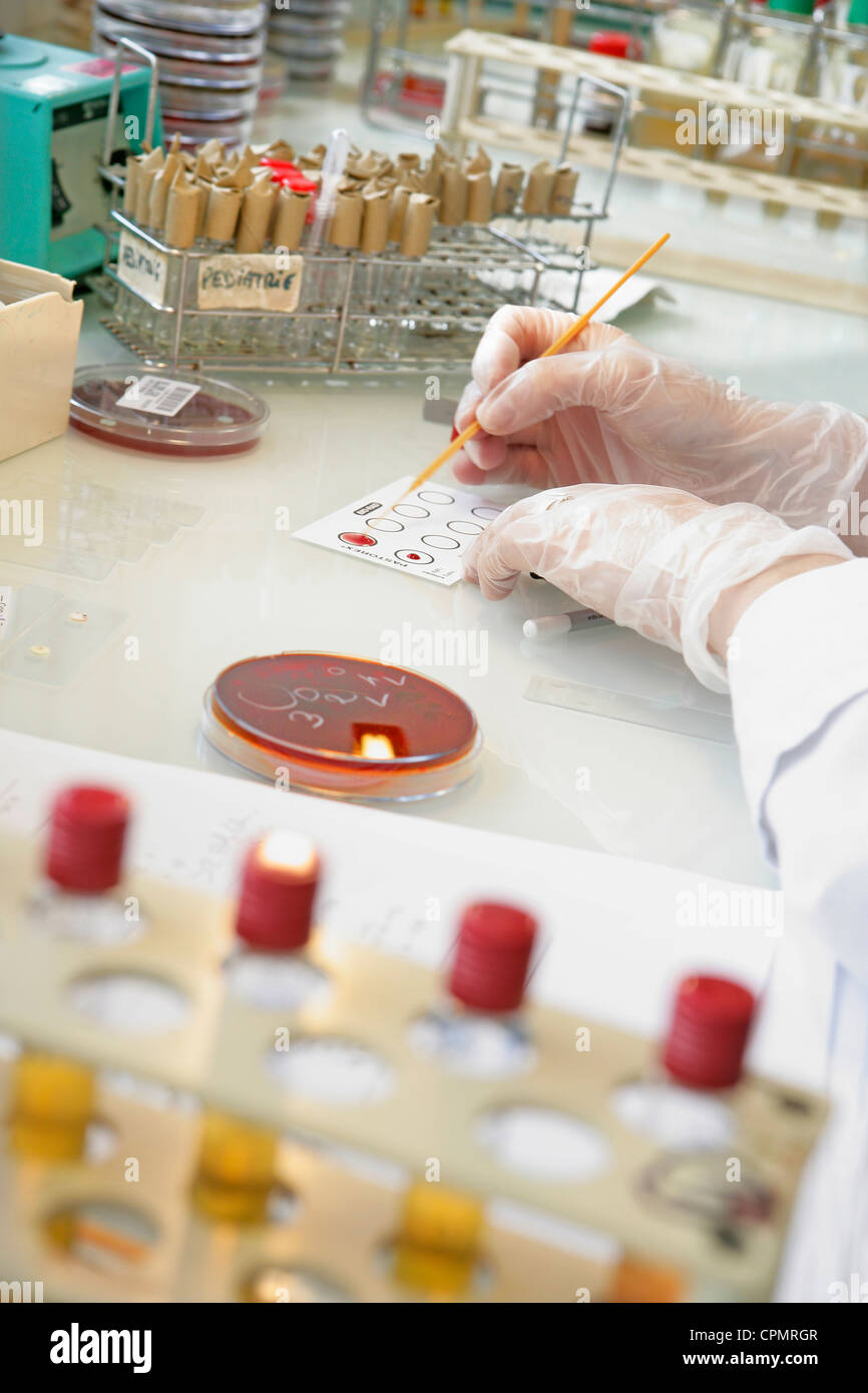 Individual loops hi-res stock photography and images - Alamy