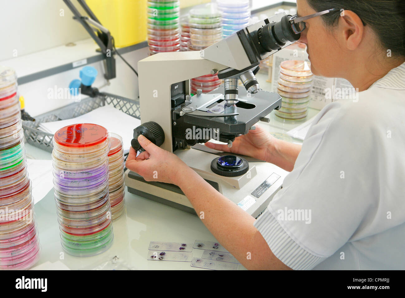 BACTERIOLOGY Stock Photo - Alamy