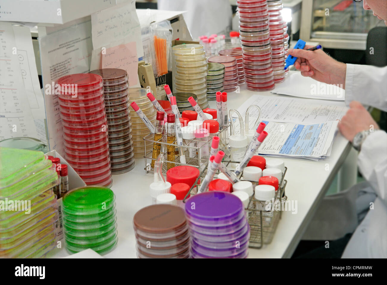 Bacterial identification tube hi-res stock photography and images - Alamy