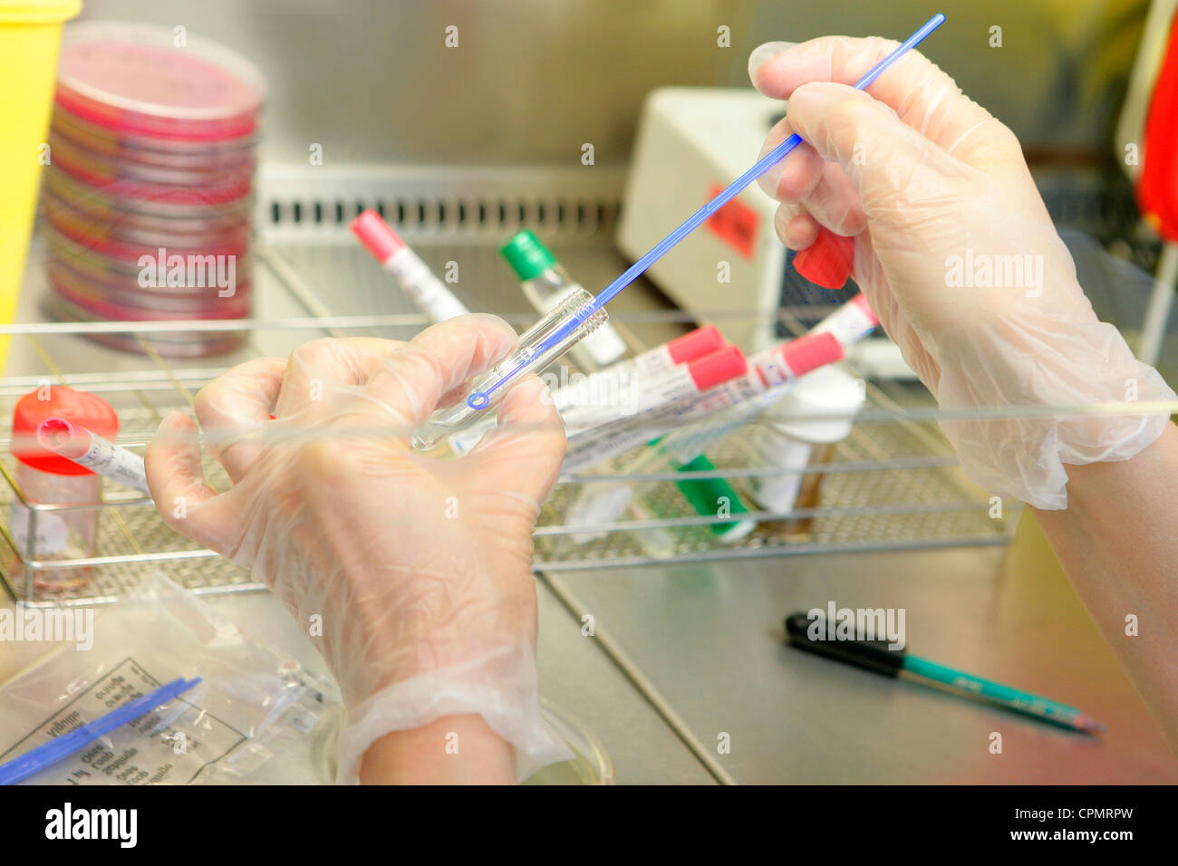 Laminar flow hoods microbiology laboratory hi-res stock photography and ...