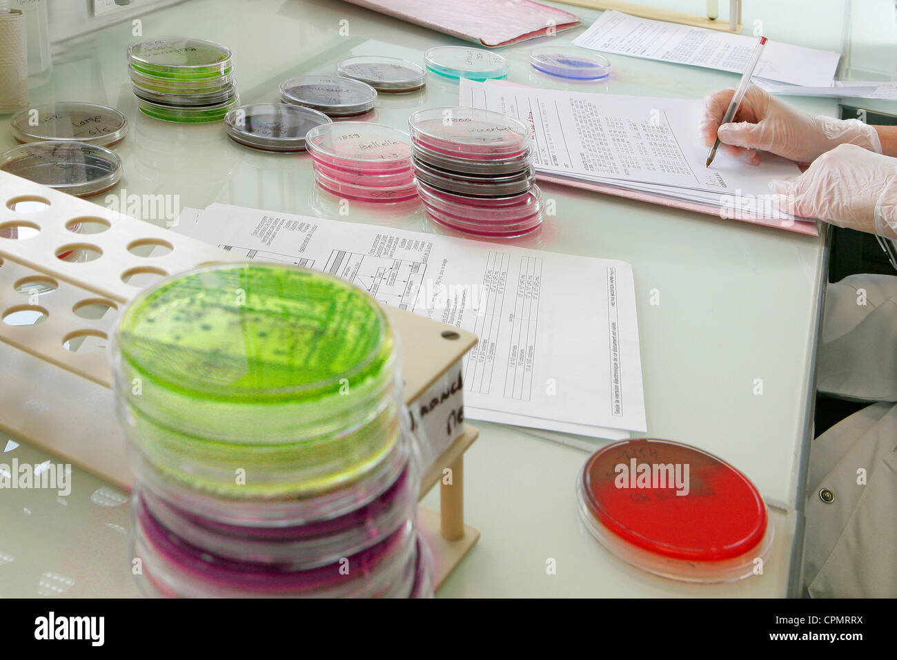 Biologists writing hi-res stock photography and images - Alamy