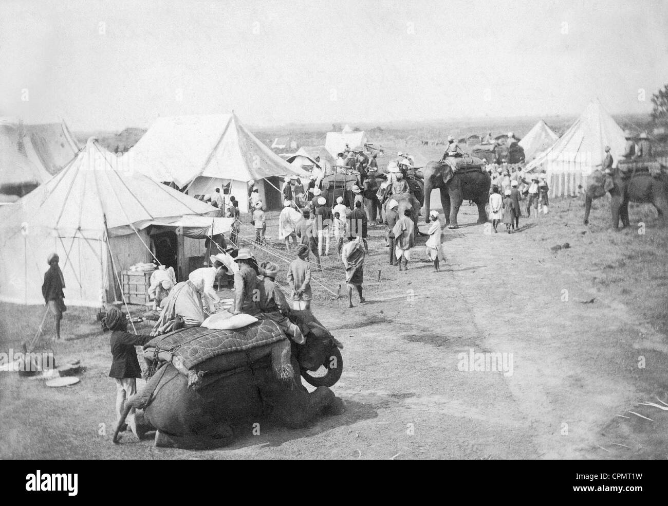 Tiger hunting with elephants hi-res stock photography and images - Alamy