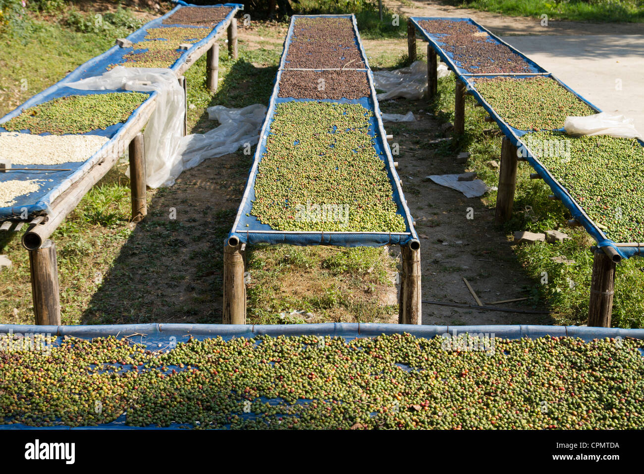 Coffee drying racks hi-res stock photography and images - Alamy