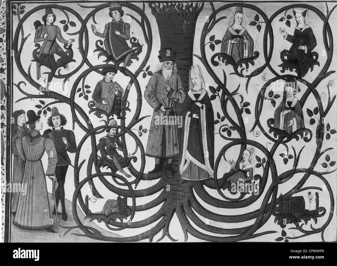 Tree title page hi-res stock photography and images - Alamy