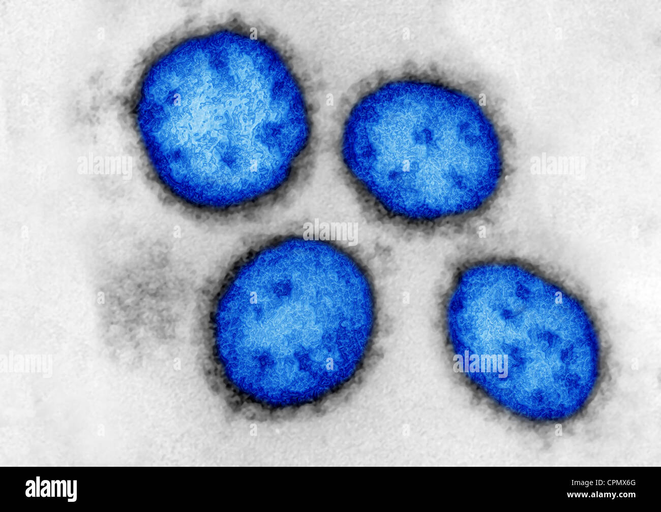 Lassa fever hi-res stock photography and images - Alamy