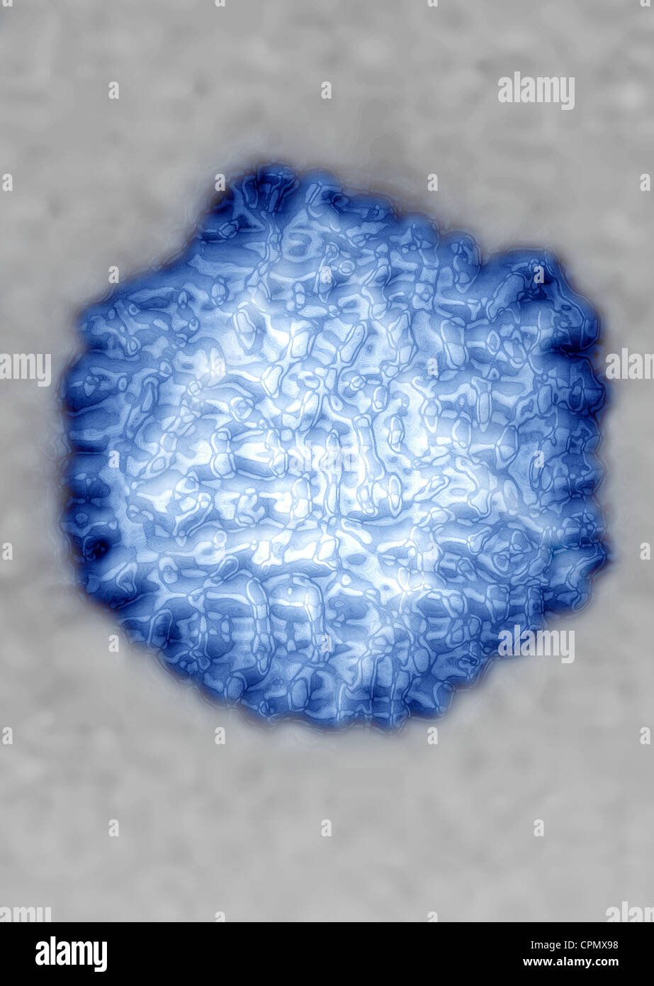 Adenovirus micrograph hi-res stock photography and images - Alamy