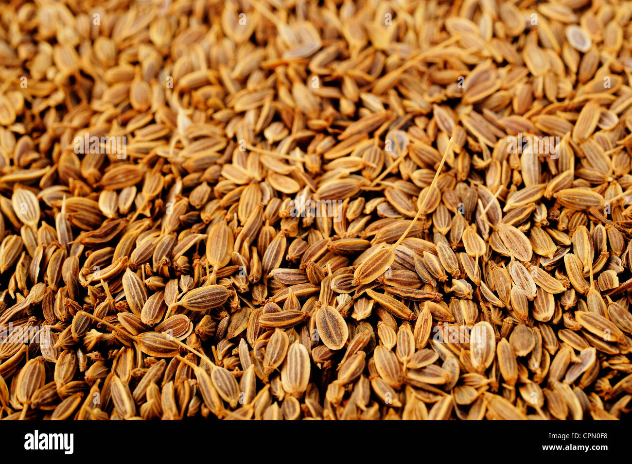 Dill seeds hi-res stock photography and images - Alamy