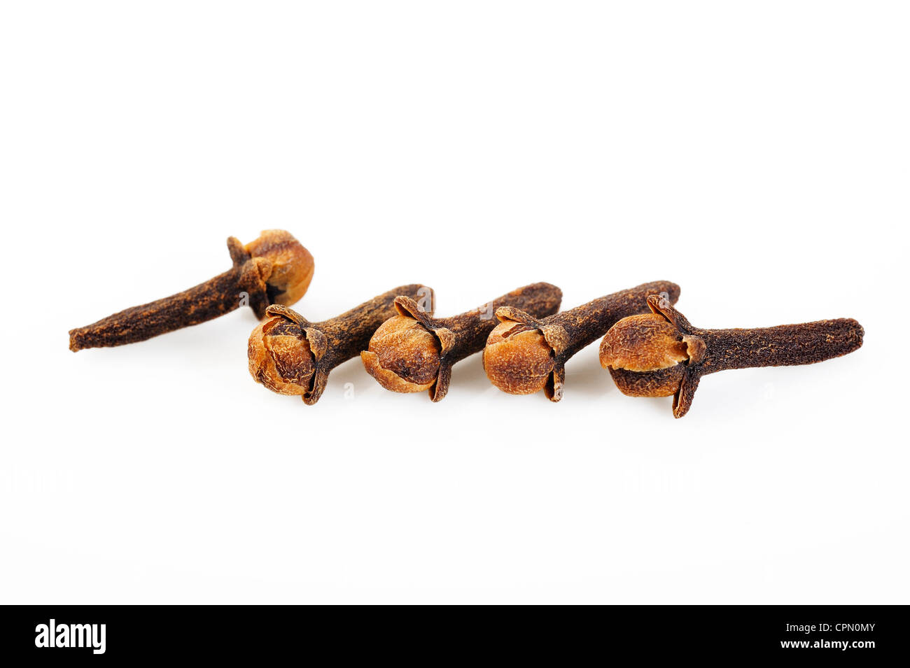 fresh cloves on white background Stock Photo - Alamy