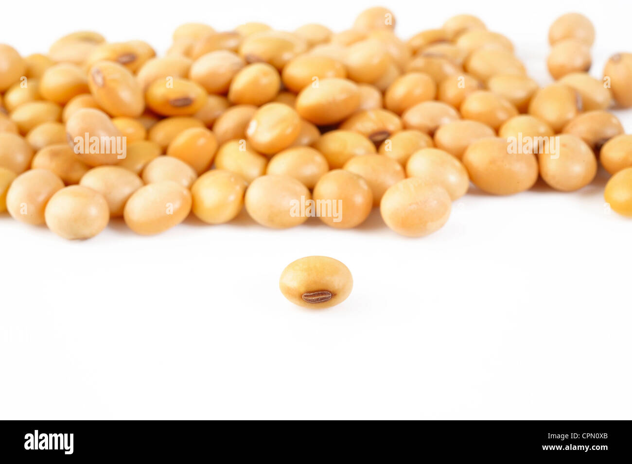 Soybeans hi-res stock photography and images - Alamy