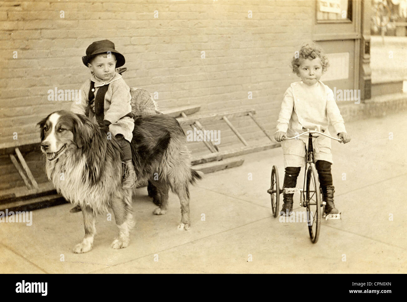 Little Boy Riding Collie and One Riding Tricycle Stock Photo - Alamy