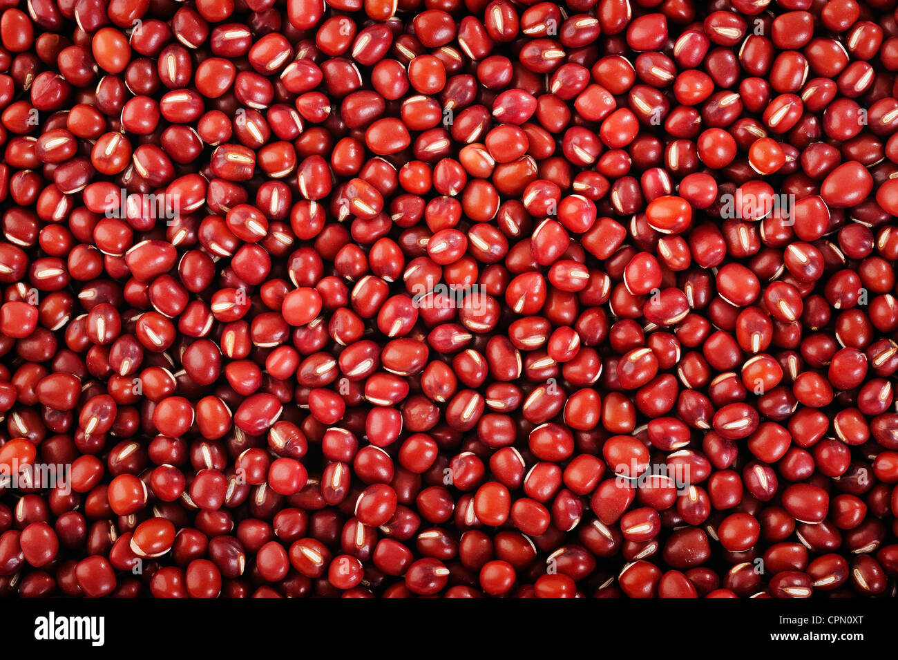 red Azuki beans pattern background Stock Photo - Alamy