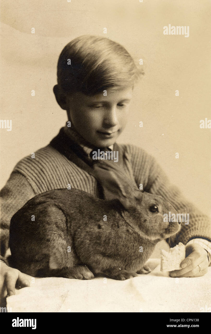 Boy feeds rabbit hi-res stock photography and images - Alamy