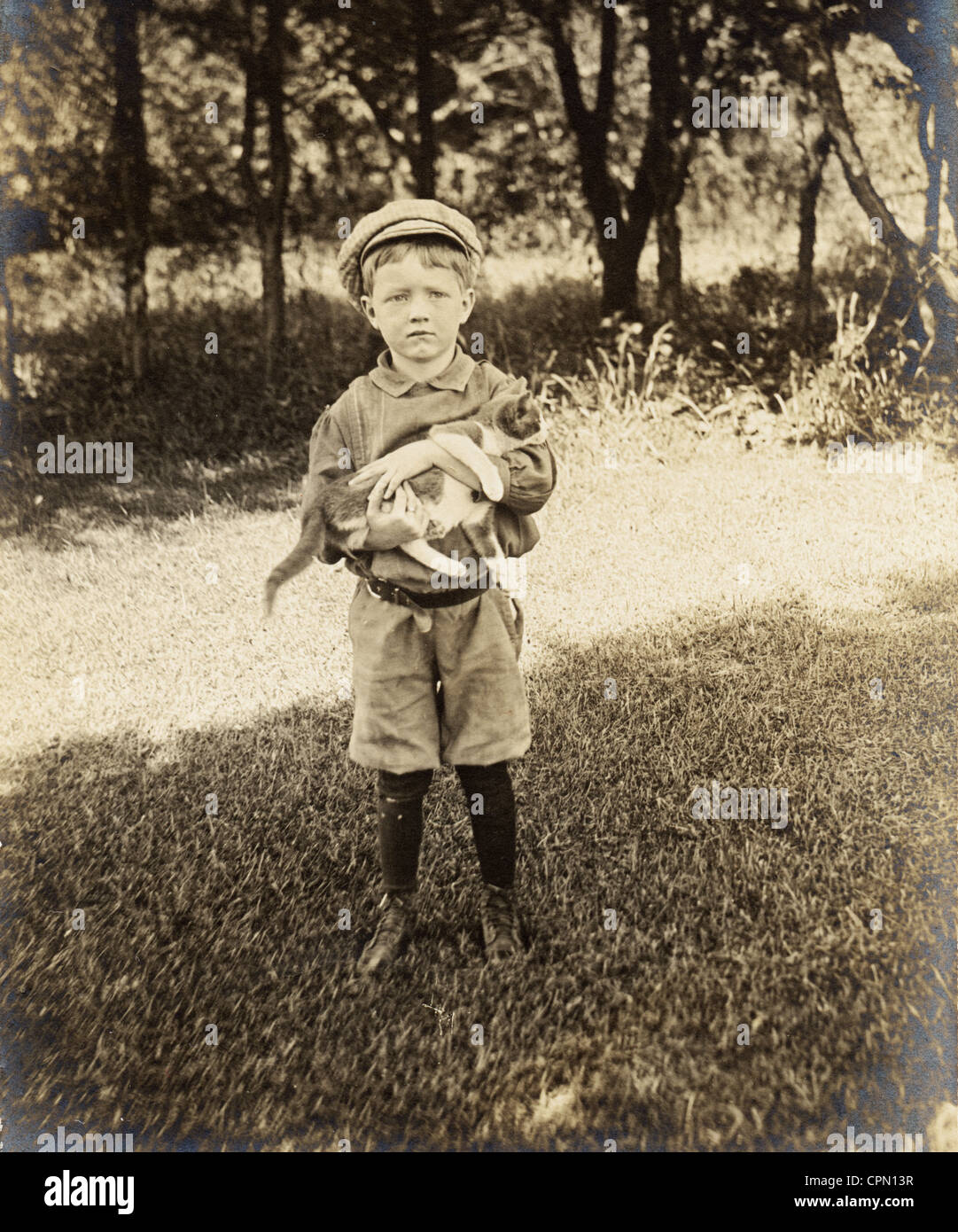 Young boy cat tree hi-res stock photography and images - Alamy