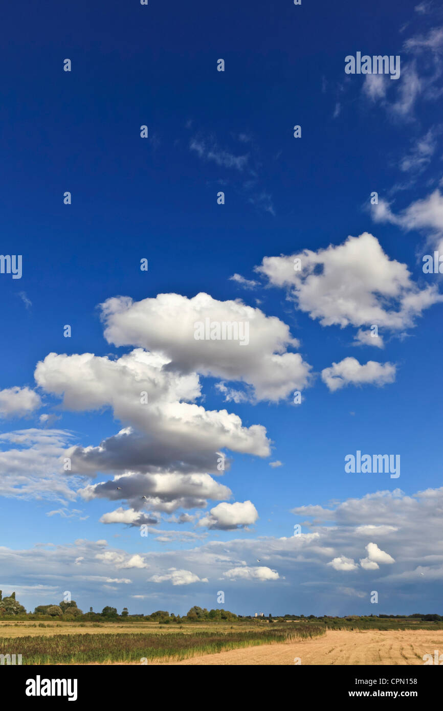 Kent nature reserve hi-res stock photography and images - Alamy